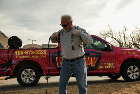 About US | The Bug Guy